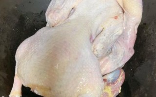 白切鸭怎么做才好吃_正宗白切鸭做法步骤