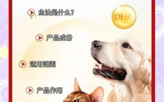 狗鱼油的功效与作用_狗鱼油怎么吃最好