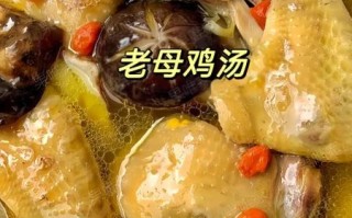 老鸡汤怎么炖好喝_老母鸡炖汤的家常做法