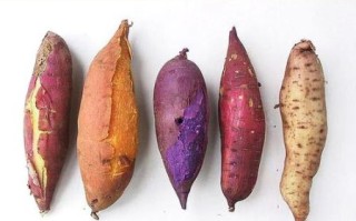 地瓜和红薯的区别_哪个营养价值更高