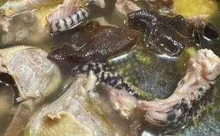 龙凤汤怎么做_龙凤汤的功效与禁忌