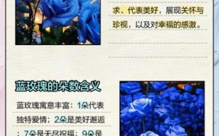 蓝玫瑰代表什么意思_蓝玫瑰的花语与寓意