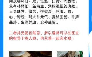 泡水喝有什么功效_哪些食材适合长期泡水