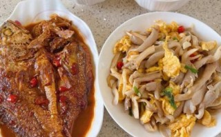 家常午饭做什么简单又好吃_15分钟快手菜推荐