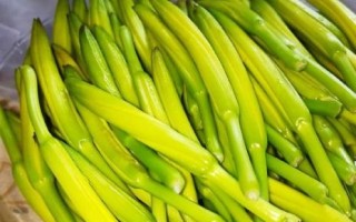 黄花菜炒肉丝怎么做_黄花菜炒肉丝的营养价值