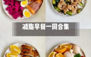 胖子减肥早餐吃什么好_早餐怎么搭配不饿还能瘦