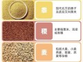五谷是哪五谷_五谷具体指哪五种粮食