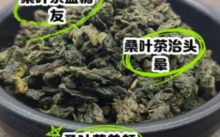 桑叶茶的功效与作用及副作用_适合什么人喝