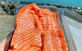 三文鱼市场价多少钱一斤_最新行情