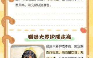 腊肠犬为什么没人养_腊肠犬的缺点有哪些