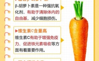 胡萝卜营养价值有哪些_胡萝卜怎么吃最有营养