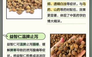 益智仁的功效与作用_益智仁怎么吃效果最好