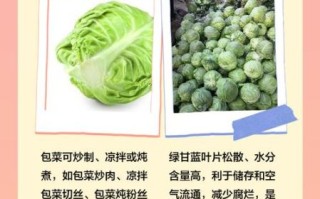 甘蓝菜和包菜的区别_哪个更有营养