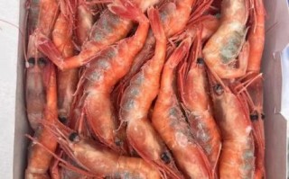 甜虾刺身怎么选_甜虾刺身孕妇能吃吗