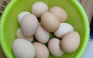 鸡蛋照片图片大全大图_鸡蛋高清图怎么拍