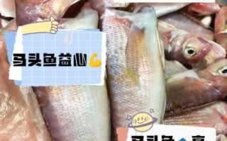 头鱼是什么意思_头鱼的寓意和象征