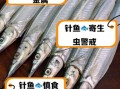 针鱼是什么鱼_针鱼怎么吃最好吃