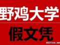 野鸡大学是什么_如何辨别野鸡大学