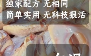 烤翅怎么做_烤翅腌制配方