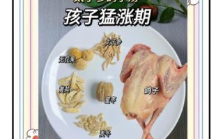 鸽子汤小孩吃怎么炖最营养_鸽子汤适合几岁宝宝喝