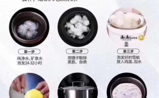 雪蛤怎么吃最好_雪蛤的正确吃法