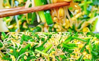 韭菜炒豆芽怎么做_韭菜炒豆芽要不要焯水 韭菜炒豆芽怎么做_韭菜炒豆芽要不要焯水