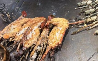 100斤波士顿大龙虾多少钱_100斤波士顿大龙虾怎么保存