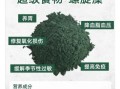 螺旋藻的功效与作用有哪些_螺旋藻怎么吃效果最好