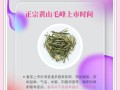 黄山毛峰属于什么茶_黄山毛峰口感怎么样