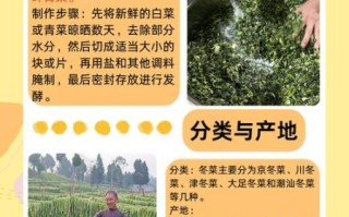 沧州冬菜怎么做_正宗比例是多少