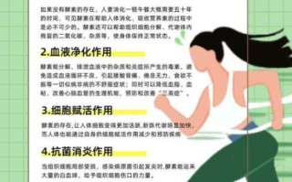 喝酵素有什么副作用_酵素减肥安全吗