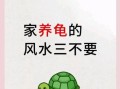 为什么不能养三只乌龟_三只乌龟风水禁忌