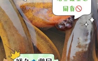 鳝鱼不能和什么一起吃_鳝鱼相克食物有哪些