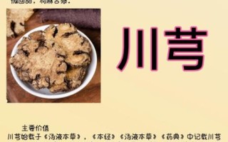 川芎的功效与主治是什么_川芎能治哪些病