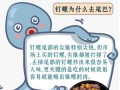 锥螺和钉螺的区别_如何快速区分