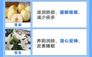 吃什么补肺养肺_肺不好吃什么调理