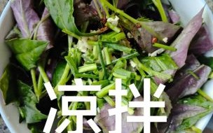 紫背天葵的功效与作用_紫背天葵怎么吃