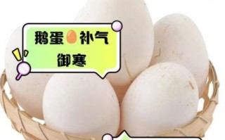 鹅蛋的营养价值_孕妇可以吃鹅蛋吗