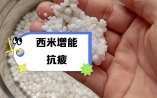 西米是寒性还是热性_西米适合什么人吃