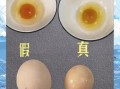 人造鸡蛋能吃吗_人造鸡蛋和真鸡蛋的区别