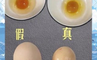 人造鸡蛋能吃吗_人造鸡蛋和真鸡蛋的区别