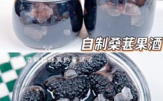 桑葚和什么泡酒最好_桑葚泡酒最佳配方