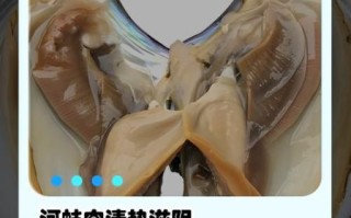 河蚌的营养价值小孩能吃吗_河蚌适合几岁儿童吃