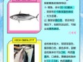鲣鱼种类有哪些_鲣鱼与金枪鱼区别