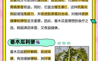 番木瓜怎么挑选_番木瓜的功效与作用