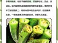 吃秋葵对身体有什么好处_秋葵营养价值有哪些