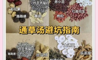 通草煮水一天喝几次_通草水能天天喝吗