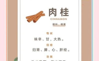 肉桂是什么味道_肉桂的味道像什么