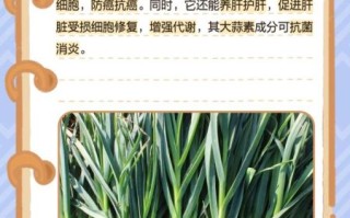 青蒜的功效与作用_青蒜怎么吃最健康