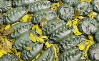 清明果是哪里的特产_清明果发源地在哪里